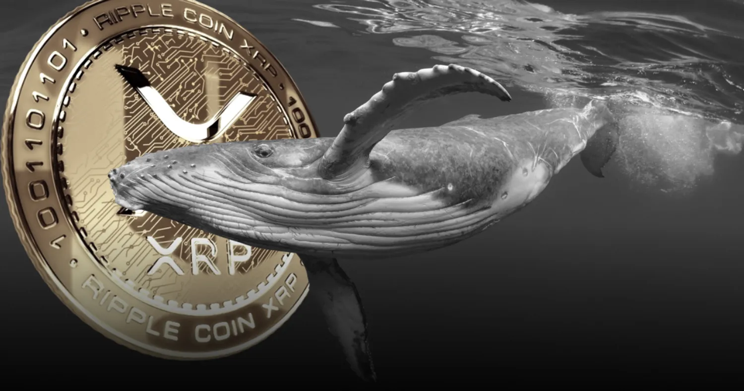 XRP - Category - CryptoSiam