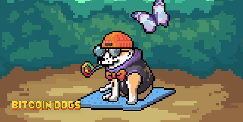 การพุ่งขึ้นของ Bitcoin Dogs: ทำไมผู้เชี่ยวชาญถึงมั่นใจในเหรียญมีม ...