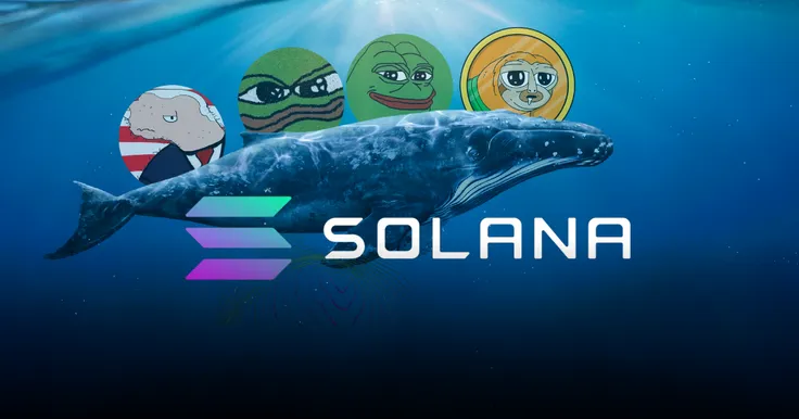 Solana - Category - CryptoSiam